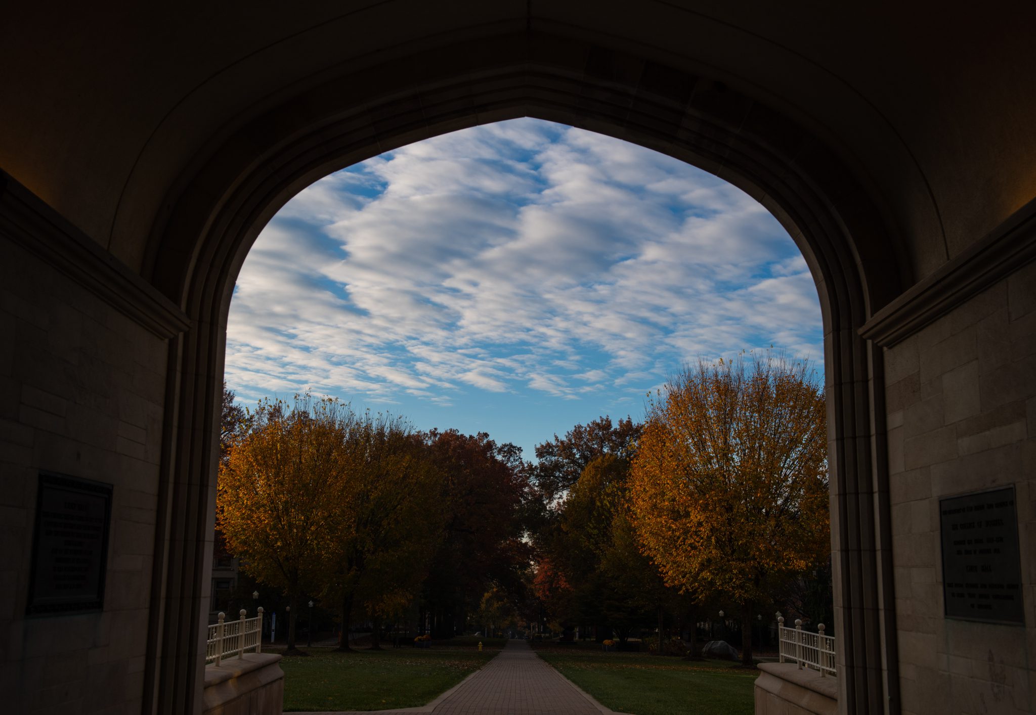 Pictures of the Year 2019 — The College of Wooster