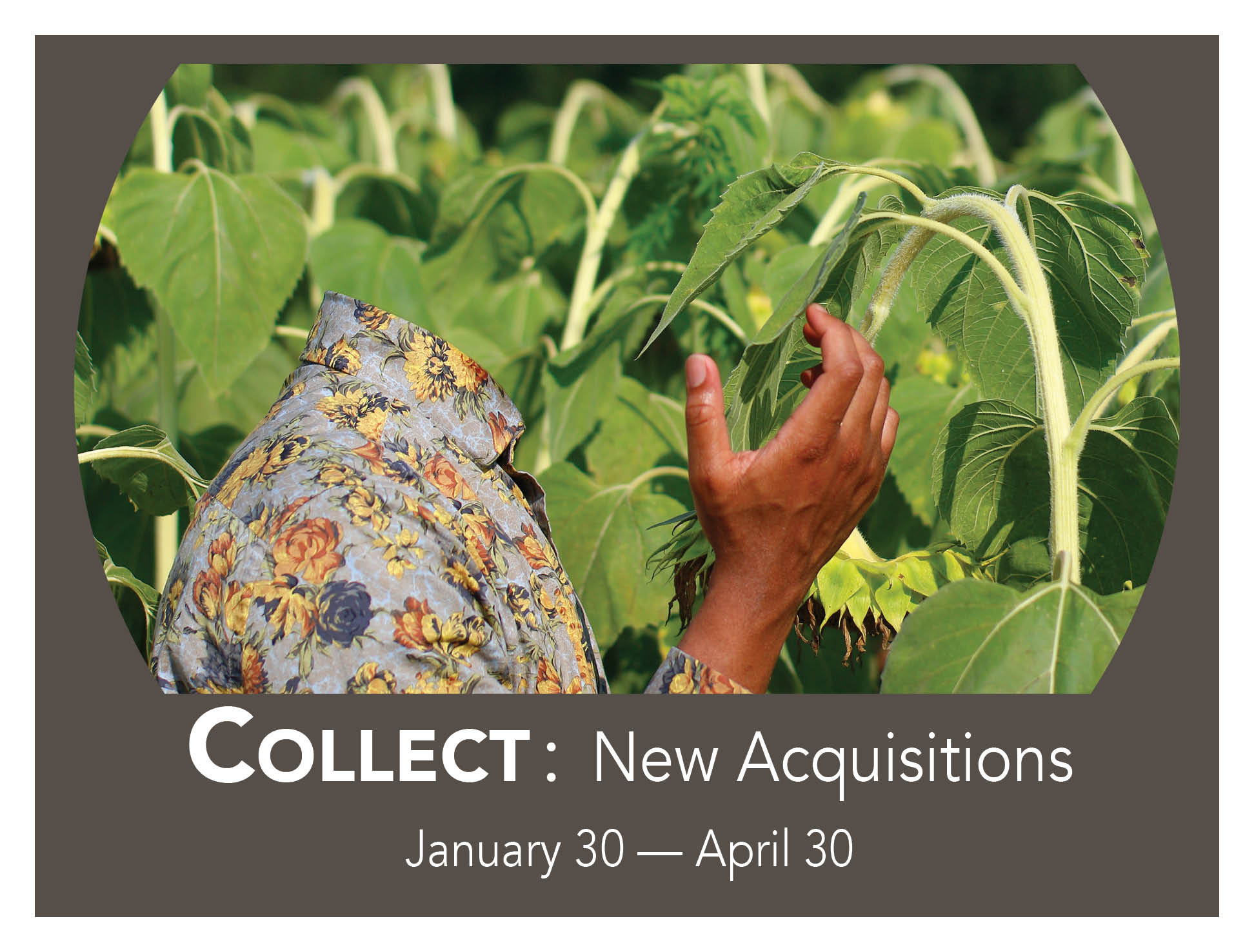 Exhibitions — The College of Wooster