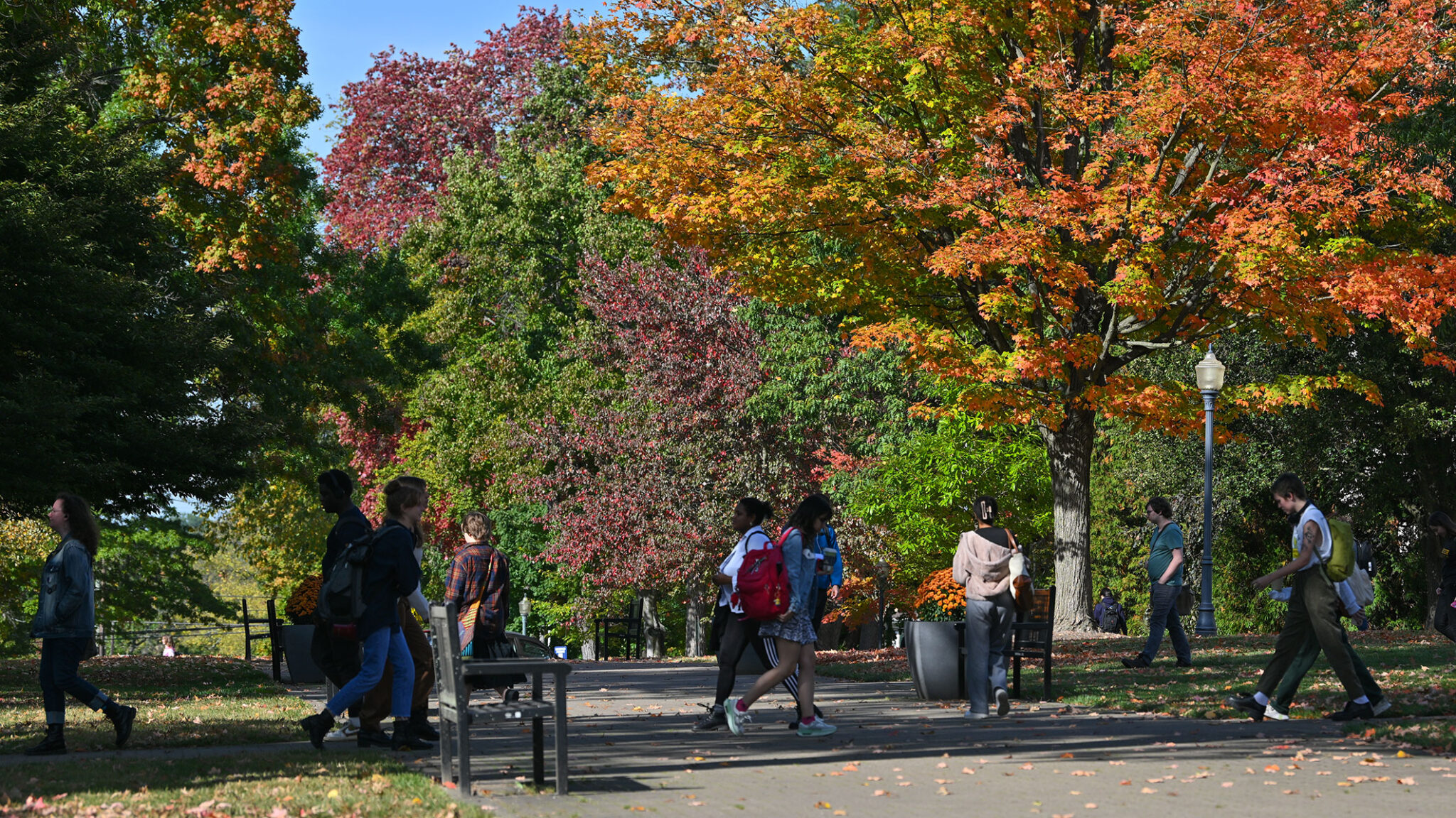 Framing Our Future — The College of Wooster